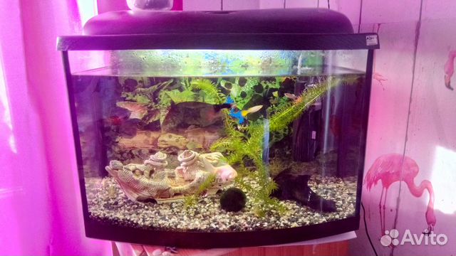 Аквариум AquaPlus