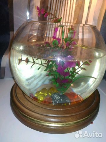 Аквариум круглый 5 литров