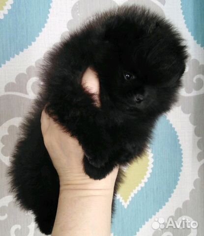 Чудо-Чудное