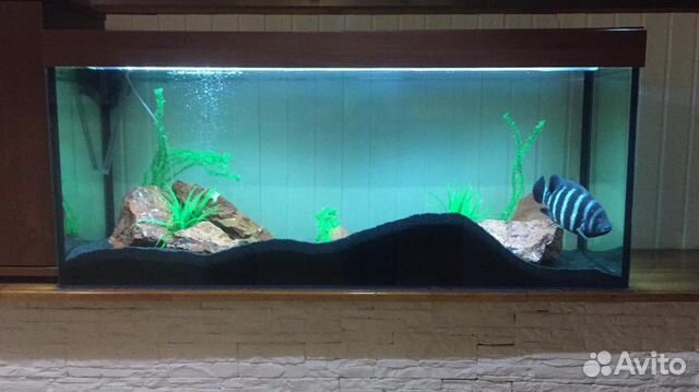 Аквариум