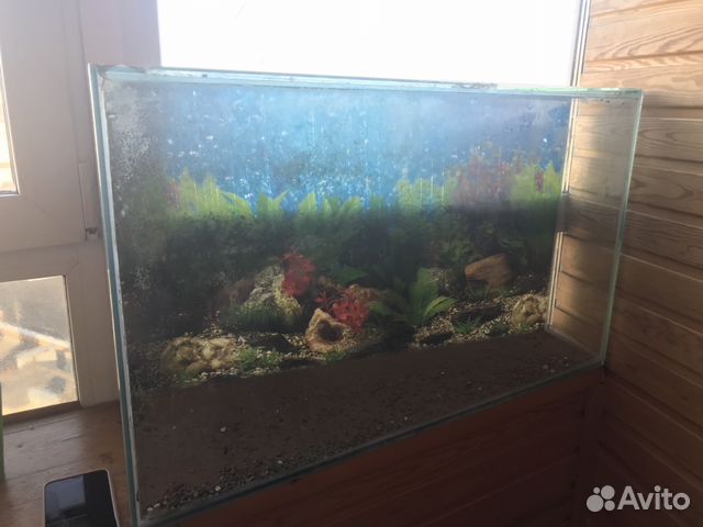 Аквариум