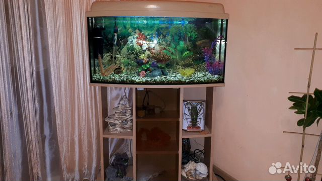 Аквариум 160 л
