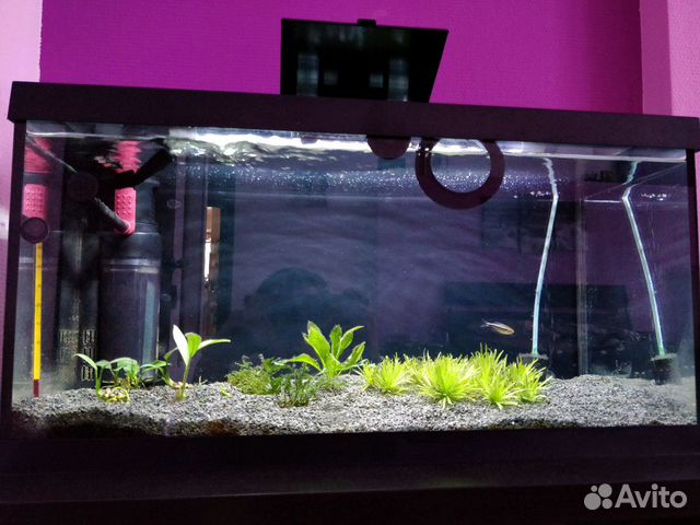 Аквариум Aquael 49 l