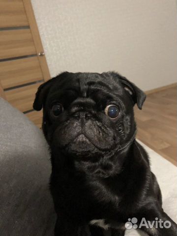 Вязка кабеля