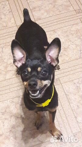 Ищем невесту