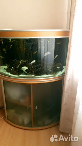 Аквариум Aquatlantis 250л