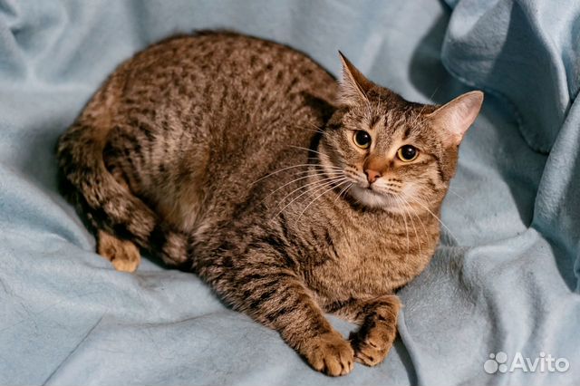 Мягонькая Кислинка, 1 год