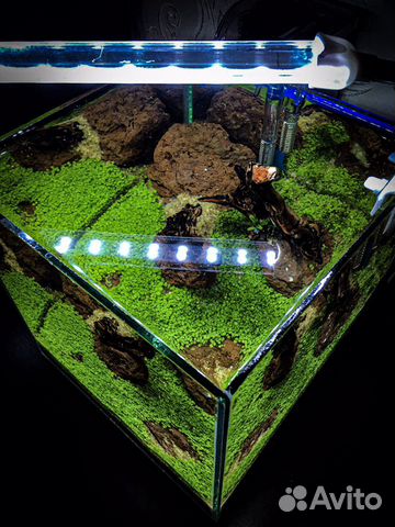 Аквариум Нанокубик Наноаквариум