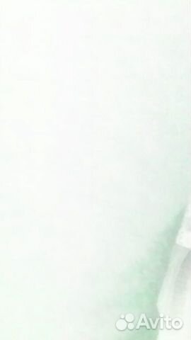 Продам павлины,фазаны,белка