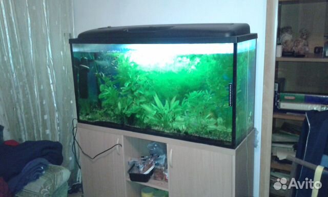 Продам аквариум. Полный комплект