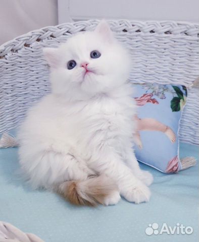 Сладкое облачко