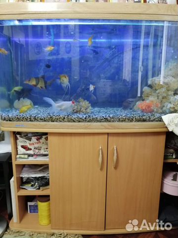 Аквариум 300литров