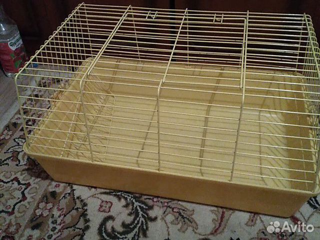 Клетка + палочки для хомяков и сушёные насекомые в
