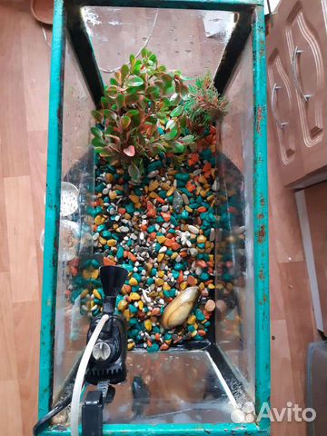 Аквариум с фильтром