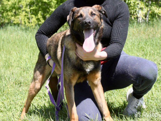 Моё детство проходит в клетке