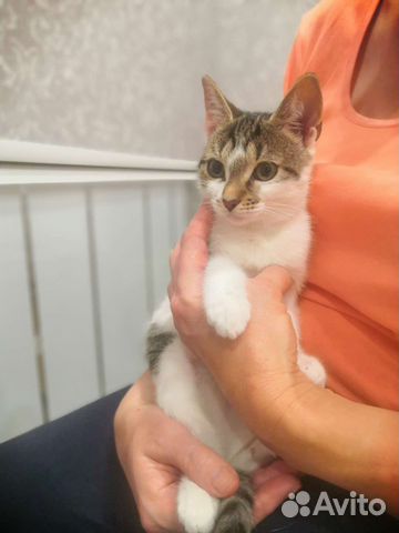 Нюша 4 месяца