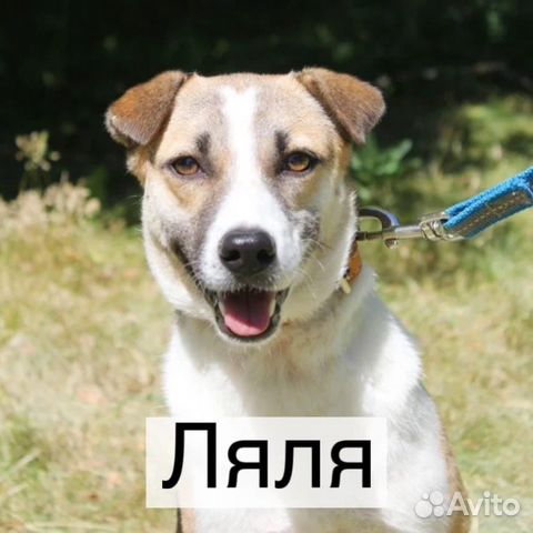 Ляля, Лялечка - совсем крошка