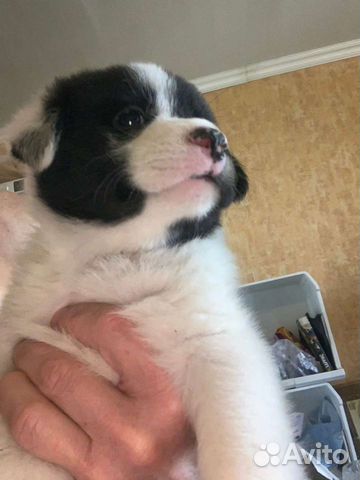 Мальчишки и девчонки ждут маму