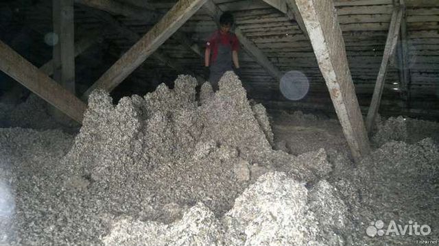 Отдам даром голубиный помёт