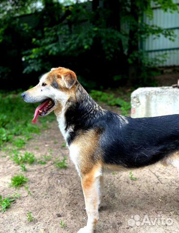 Вася мечтает снова поверить людям