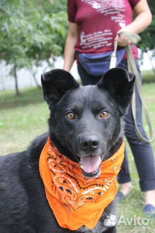 Грант - это море позитива и энергии