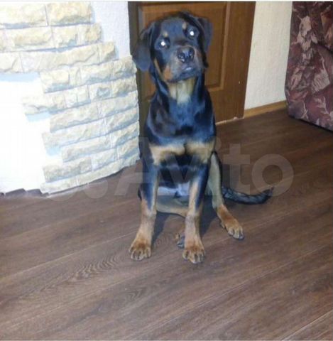 Молодой мальчик ищет подружку